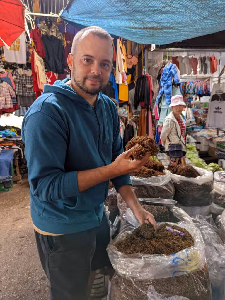 Boucle de Paksé et plateau des Bolovens au Laos : le guide pratique