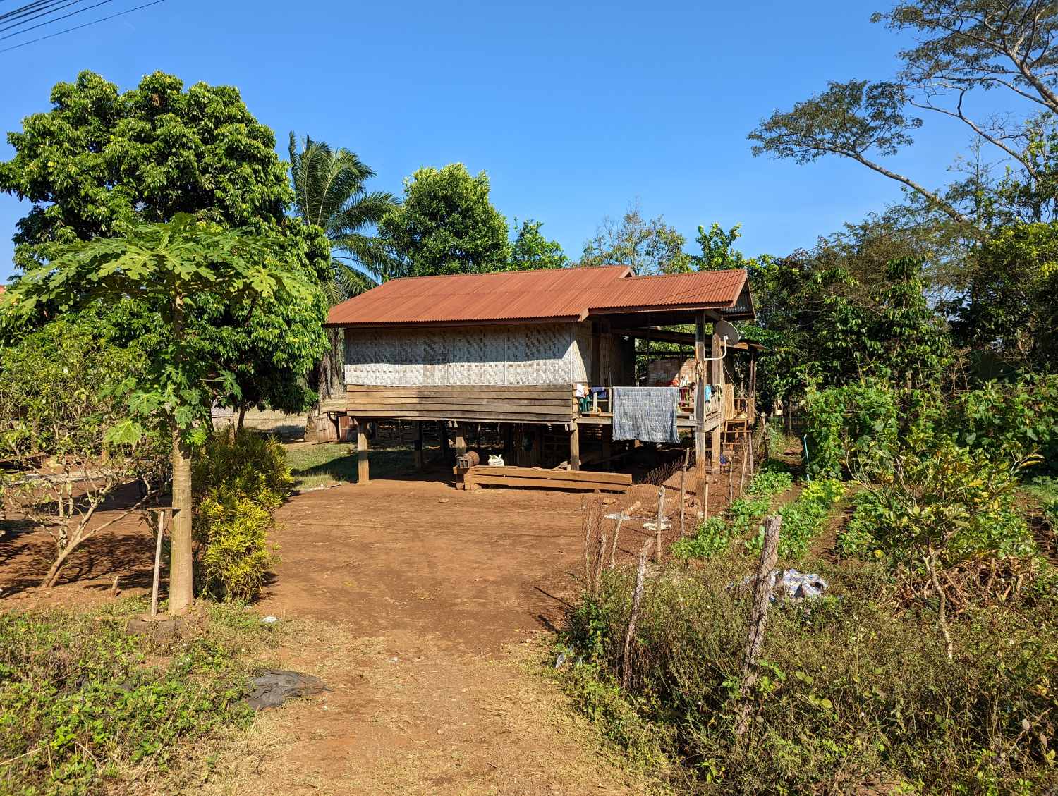 Boucle de Paksé et plateau des Bolovens au Laos : le guide pratique