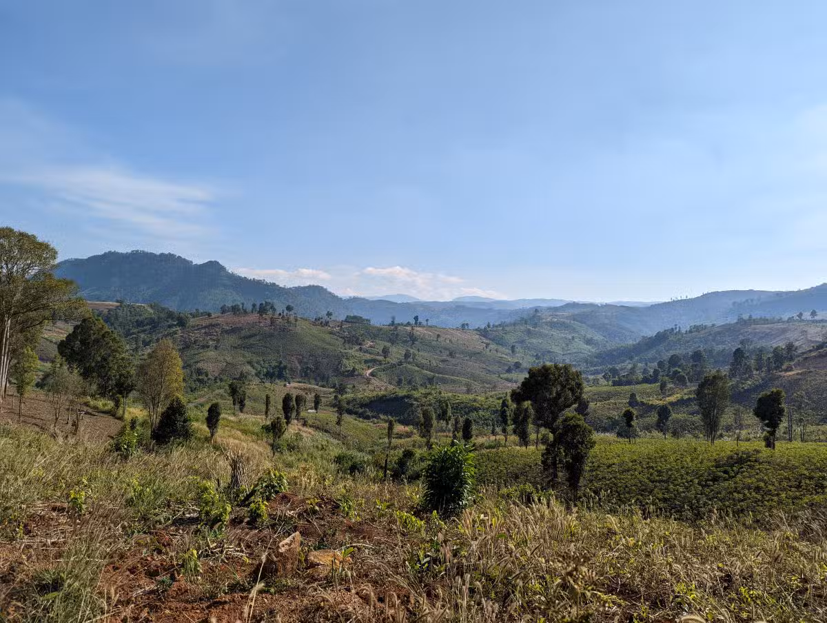 Boucle de Paksé et plateau des Bolovens au Laos : le guide pratique