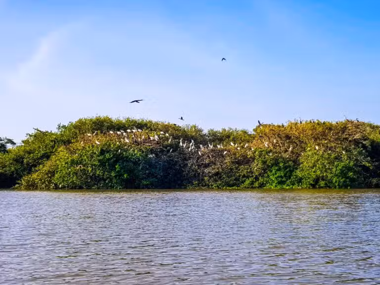 Tangalle au Sri Lanka : les plus belles plages de l'île