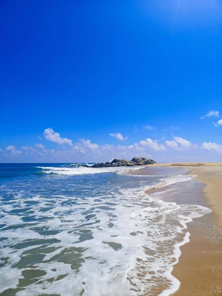 Que faire à Arugam Bay au Sri Lanka ? Les incontournables