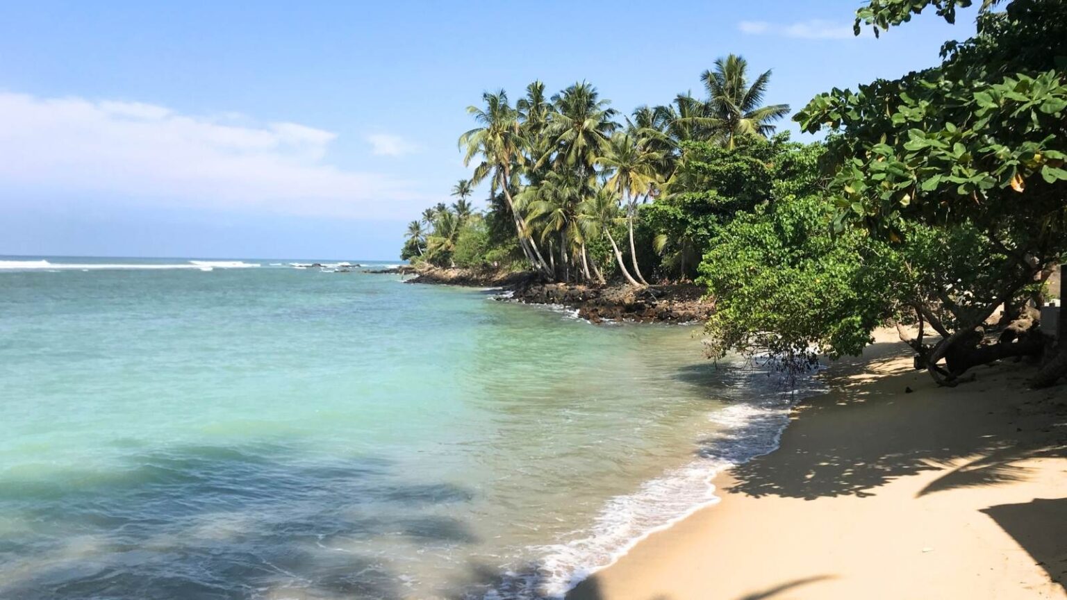 Que faire à Mirissa ? Découvrez LA station balnéaire du Sri Lanka