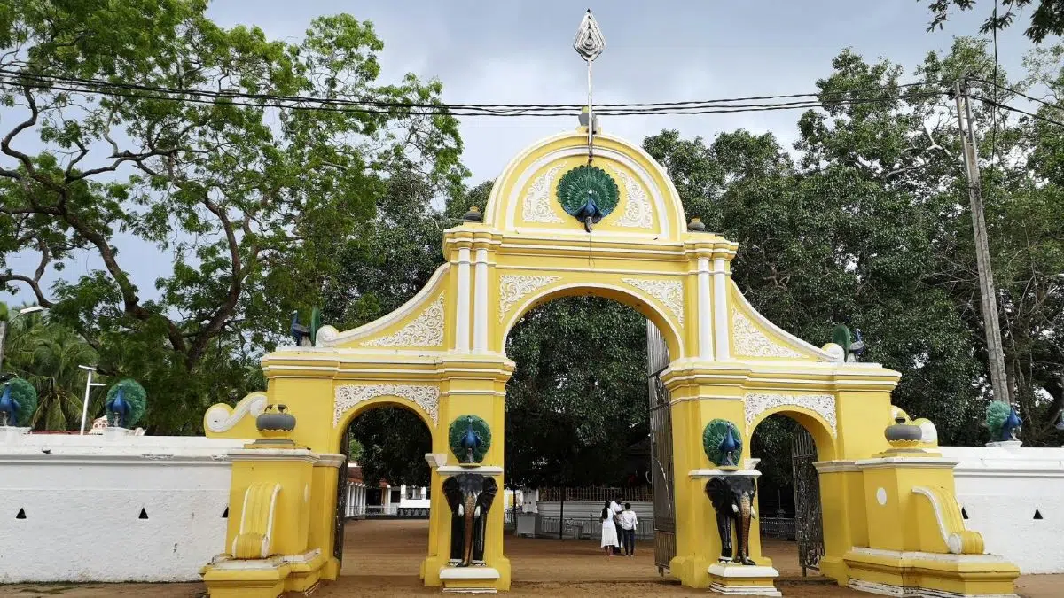 Que faire à Tissamaharama au sud du Sri Lanka