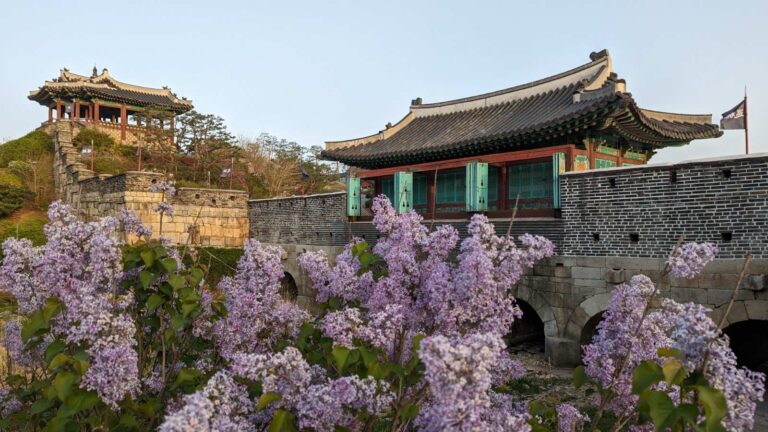 La Forteresse de Suwon en Corée du Sud : Le guide complet
