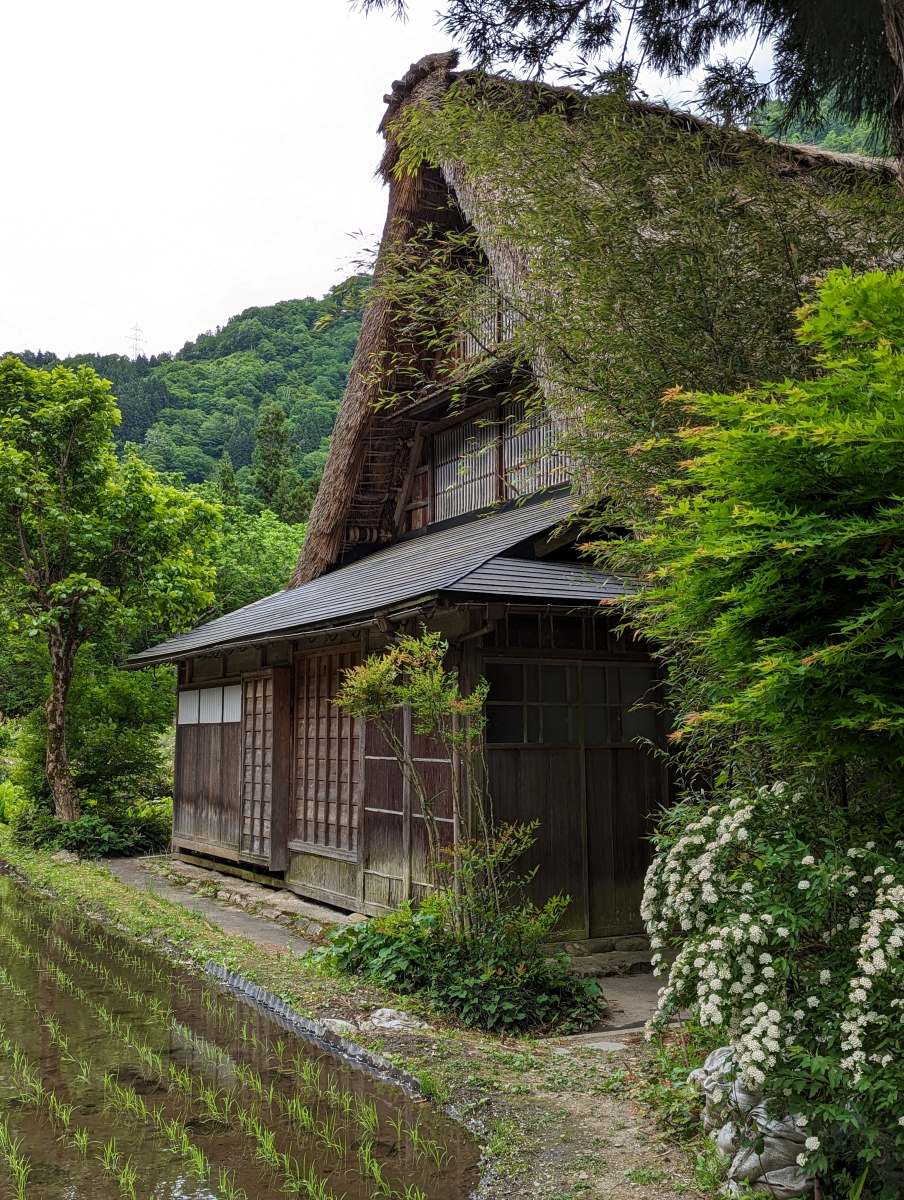 Pourquoi le village de Shirakawago est Incontournable au Japon