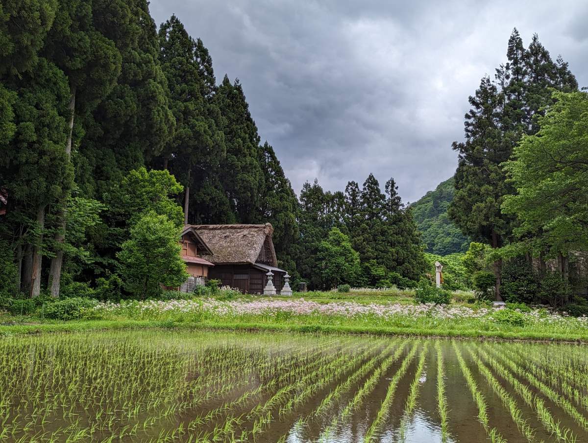 Pourquoi le village de Shirakawago est Incontournable au Japon