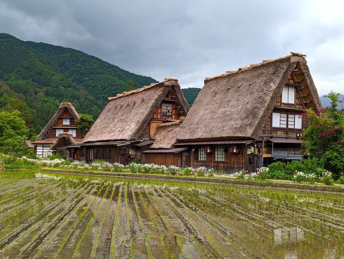 Pourquoi le village de Shirakawago est Incontournable au Japon