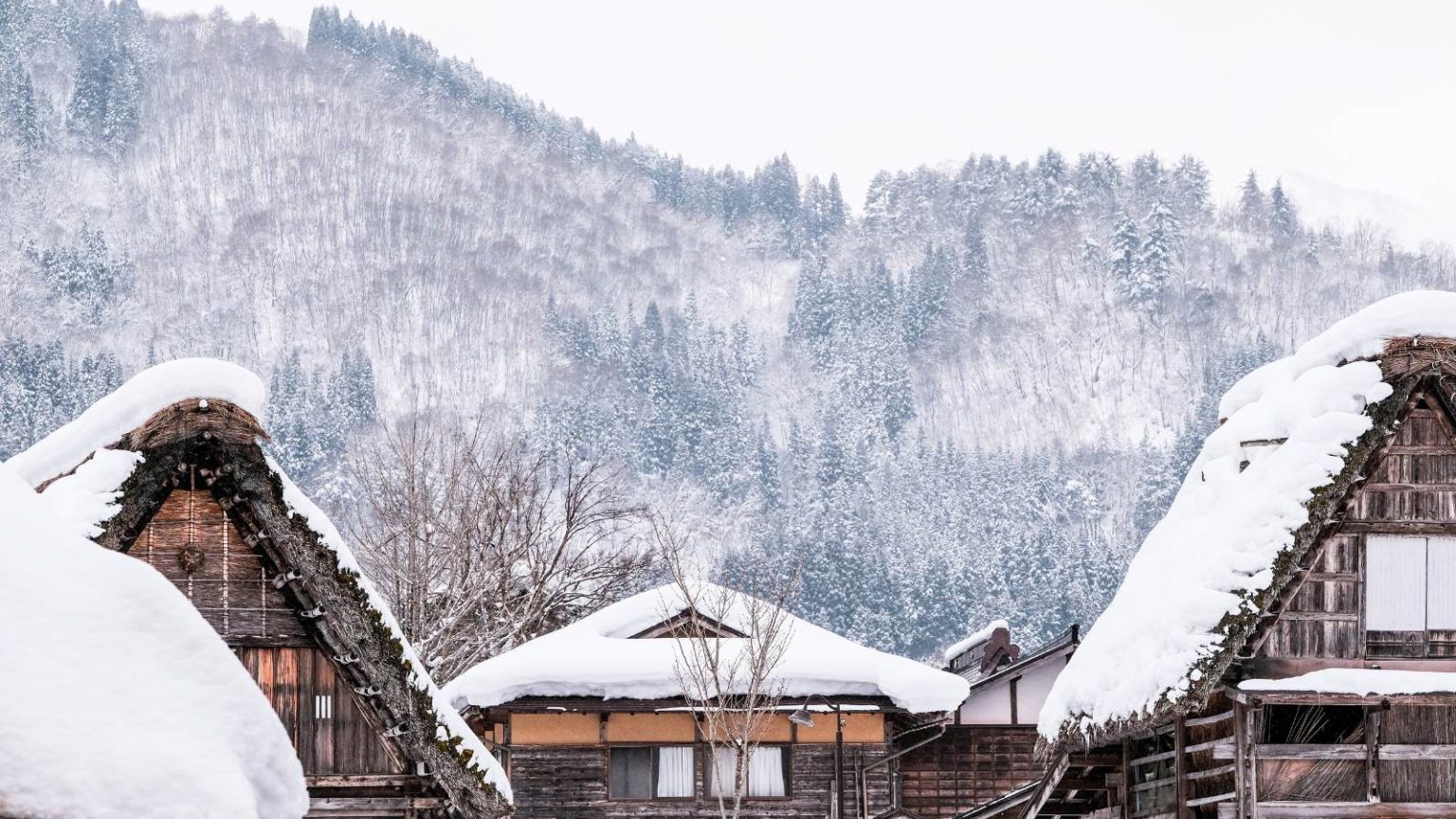 Pourquoi le village de Shirakawago est Incontournable au Japon