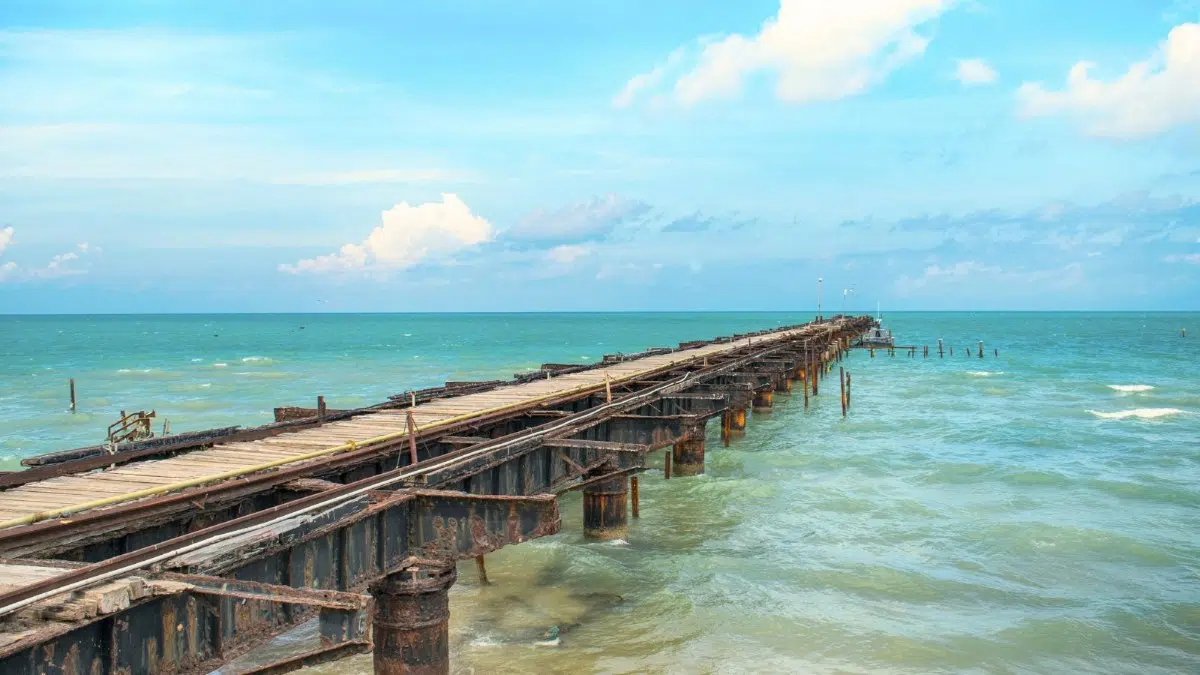 Que faire à Mannar ? Un voyage au cœur d’une région authentique